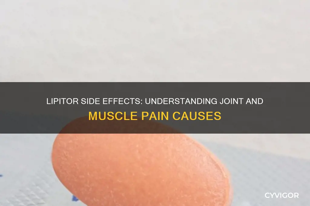Lipitor Side Effects: Understanding Joint And Muscle Pain Causes | CyVigor