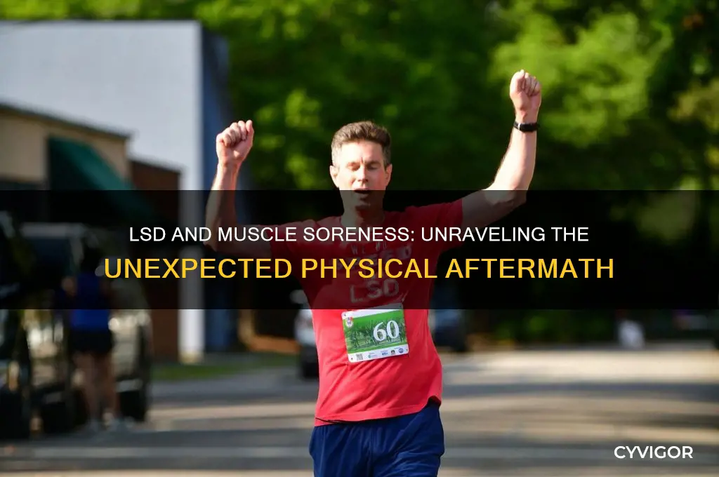 Lsd And Muscle Soreness: Unraveling The Unexpected Physical Aftermath ...