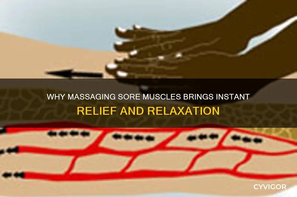 Why Massaging Sore Muscles Brings Instant Relief And Relaxation | CyVigor
