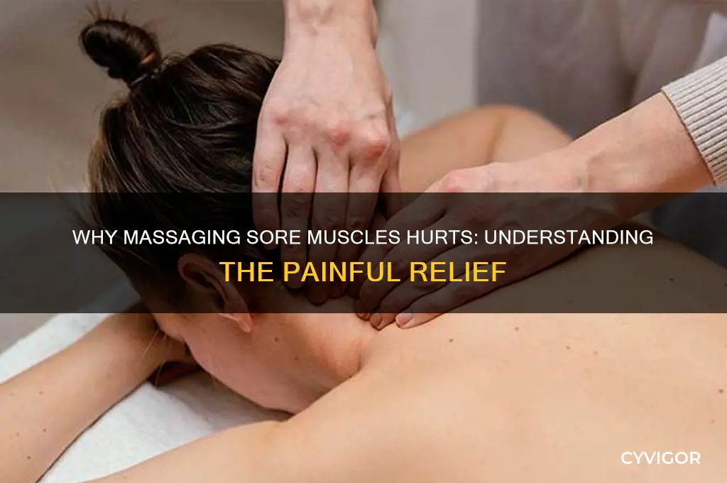Why Massaging Sore Muscles Hurts: Understanding The Painful Relief ...