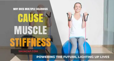 Metformin And Muscle Pain: Understanding The Uncomfortable Side Effect ...