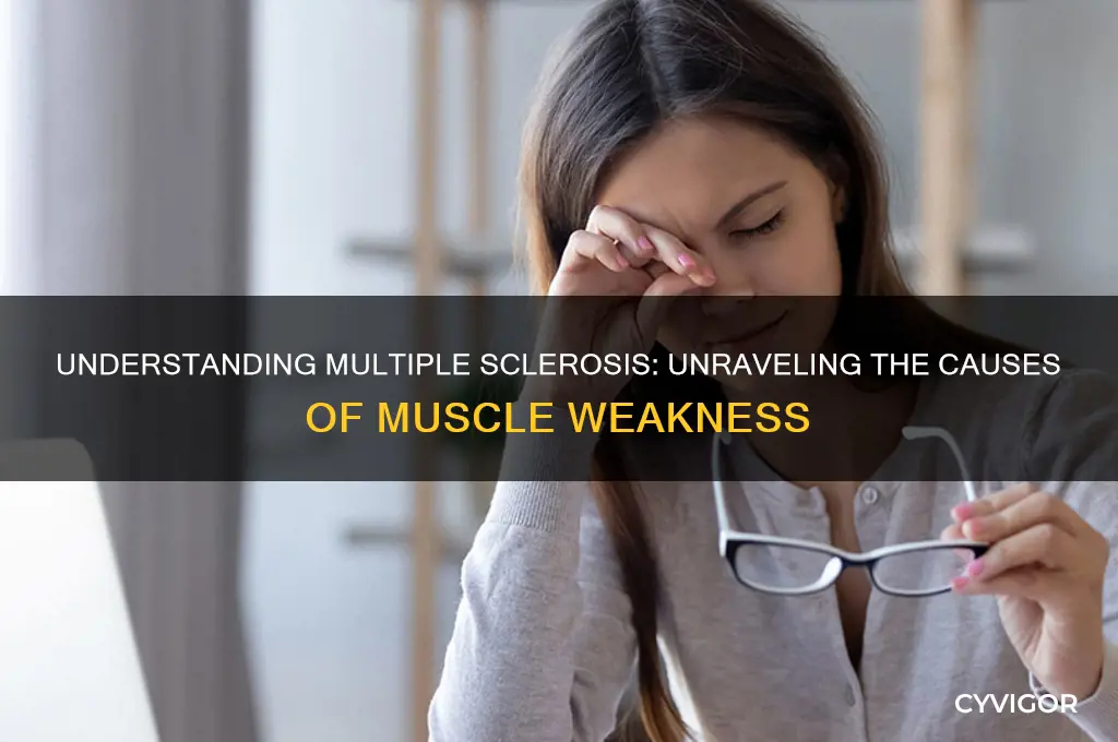 Understanding Multiple Sclerosis: Unraveling The Causes Of Muscle ...