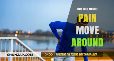 Understanding Glute Muscle Pain: Causes, Symptoms, And Effective Relief ...