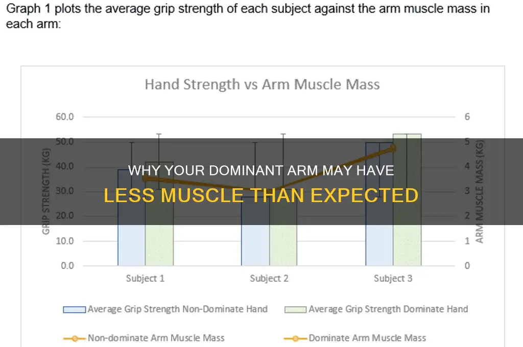 Why Your Dominant Arm May Have Less Muscle Than Expected | CyVigor