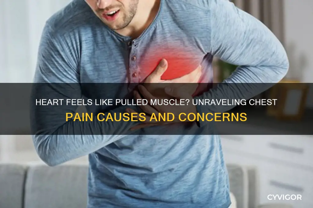Heart Feels Like Pulled Muscle? Unraveling Chest Pain Causes And ...