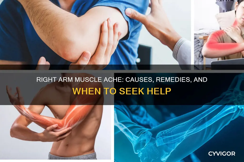Right Arm Muscle Ache: Causes, Remedies, And When To Seek Help | CyVigor