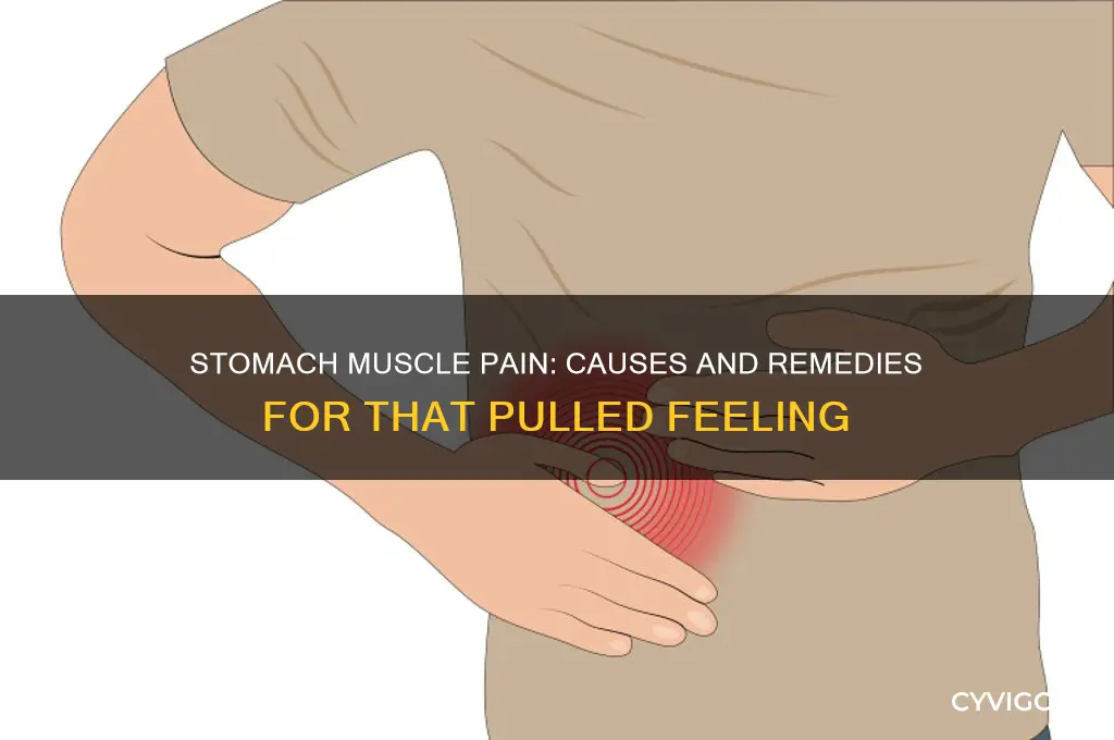 Stomach Muscle Pain: Causes And Remedies For That Pulled Feeling | CyVigor