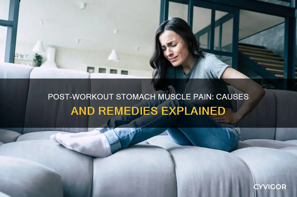 Post-Workout Stomach Muscle Pain: Causes And Remedies Explained | CyVigor