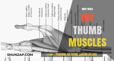 Muscle Knots: Why Do They Form? | CyVigor
