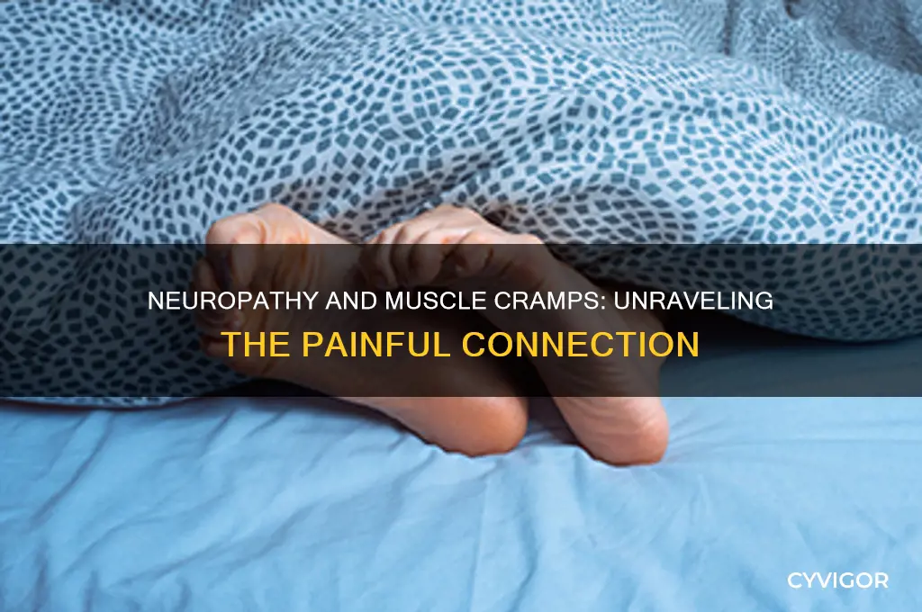 Neuropathy And Muscle Cramps: Unraveling The Painful Connection | CyVigor