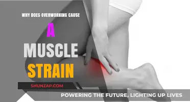 Pravastatin And Muscle Pain: Understanding The Link And Relief Options ...