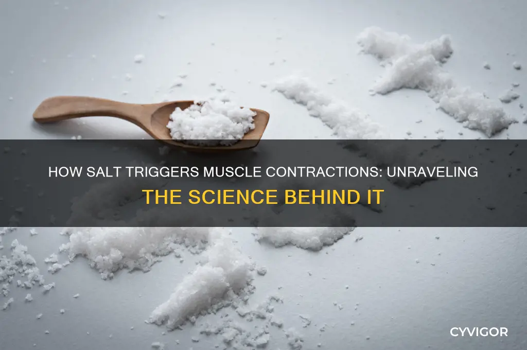 How Salt Triggers Muscle Contractions: Unraveling The Science Behind It ...