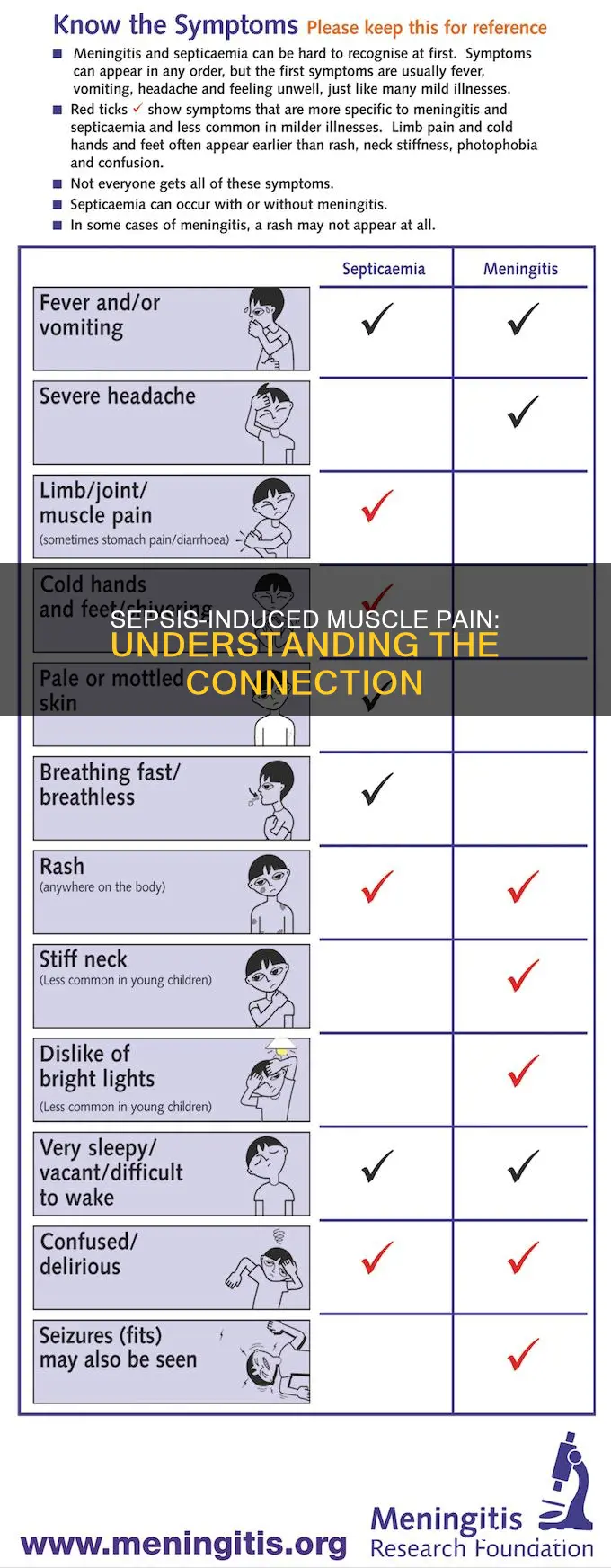 Sepsis-Induced Muscle Pain: Understanding The Connection | CyVigor