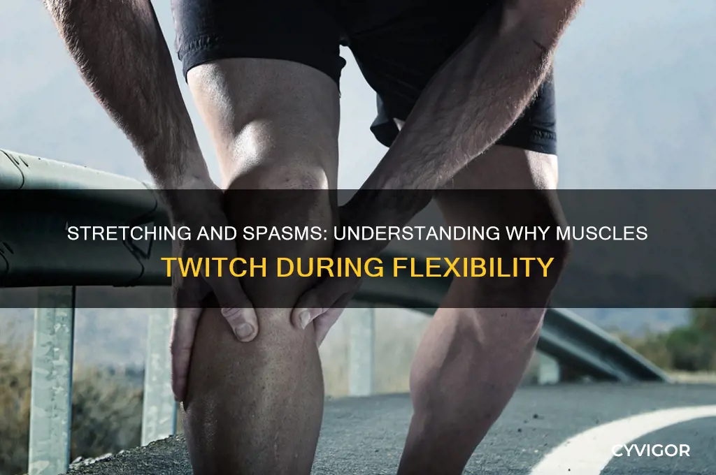 Stretching And Spasms: Understanding Why Muscles Twitch During ...