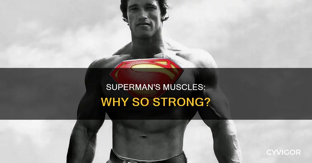 Superman's Muscles: Why So Strong? | CyVigor