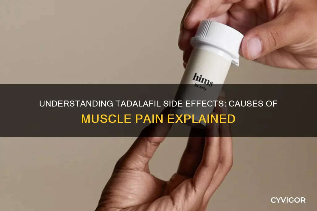 Understanding Tadalafil Side Effects: Causes Of Muscle Pain Explained ...