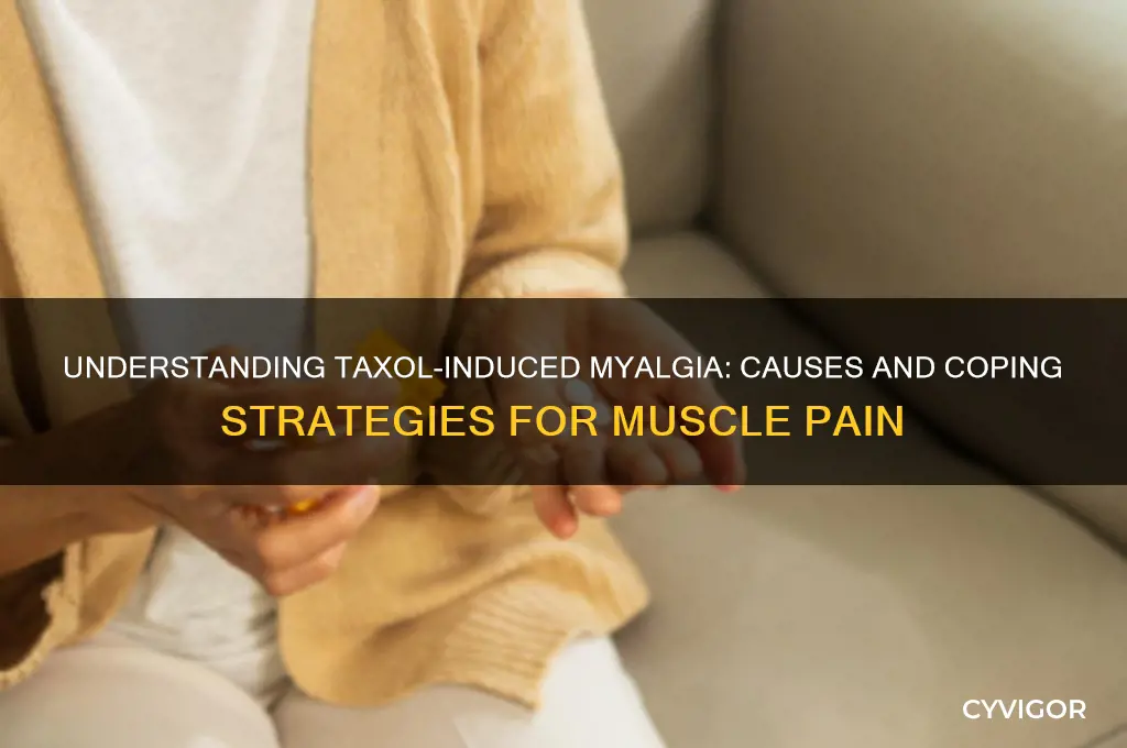 Understanding Taxol-Induced Myalgia: Causes And Coping Strategies For ...
