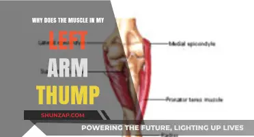 Left Arm Muscle Imbalance: Causes And Solutions For Uneven Growth | CyVigor