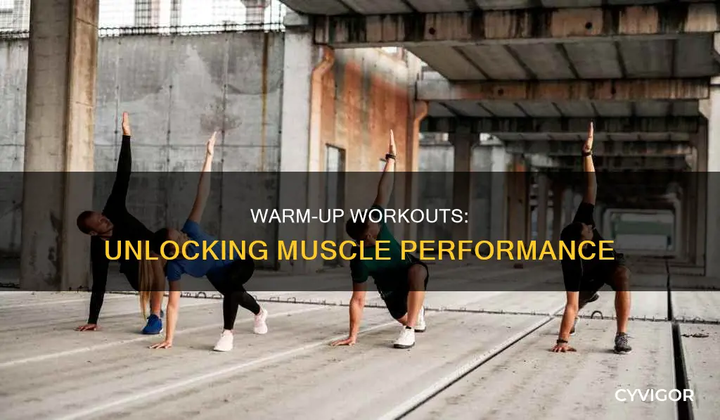 Warm-Up Workouts: Unlocking Muscle Performance | CyVigor