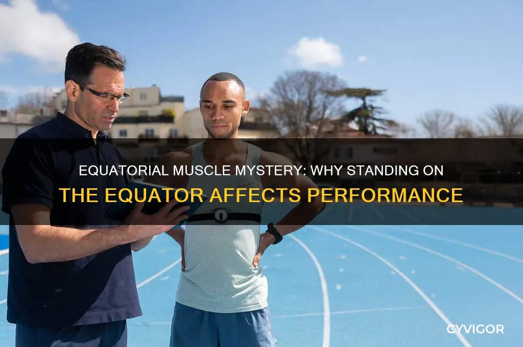 Equatorial Muscle Mystery: Why Standing On The Equator Affects ...