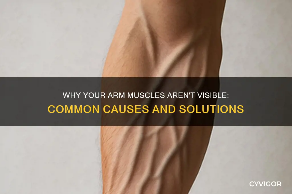 Why Your Arm Muscles Aren't Visible: Common Causes And Solutions | CyVigor