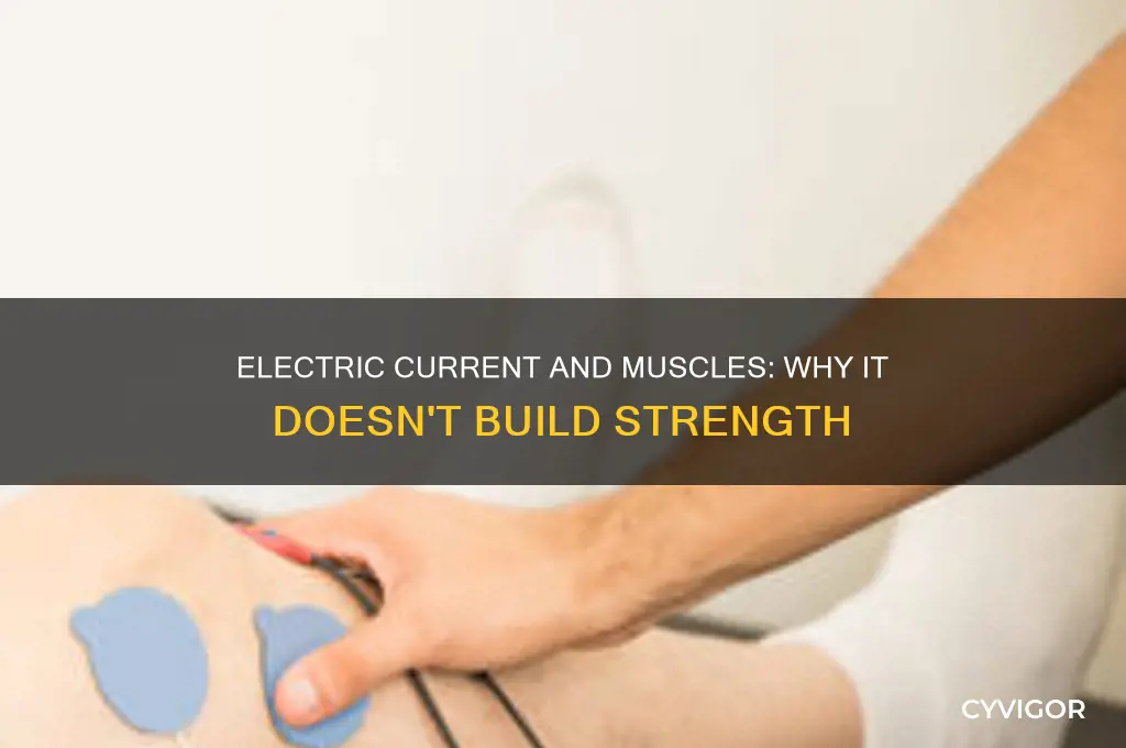 Electric Current And Muscles: Why It Doesn't Build Strength | CyVigor