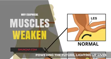 The Muscularity Of Greek Gods: A Symbolic Representation | CyVigor