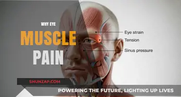 Understanding Right Arm Muscle Pain: Causes, Symptoms, And Relief Tips ...