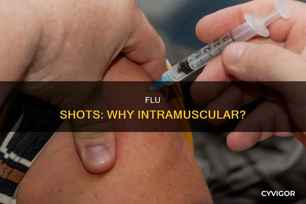 Flu Shots: Why Intramuscular? | CyVigor