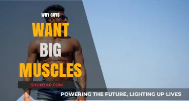 The Muscularity Of Greek Gods: A Symbolic Representation | CyVigor