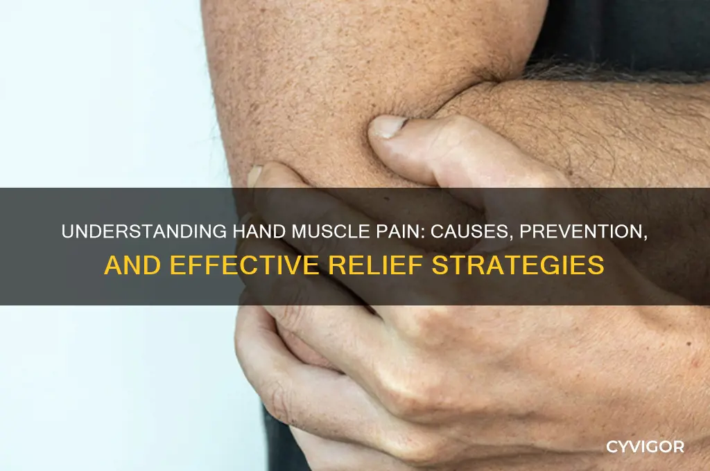 Understanding Hand Muscle Pain: Causes, Prevention, And Effective ...