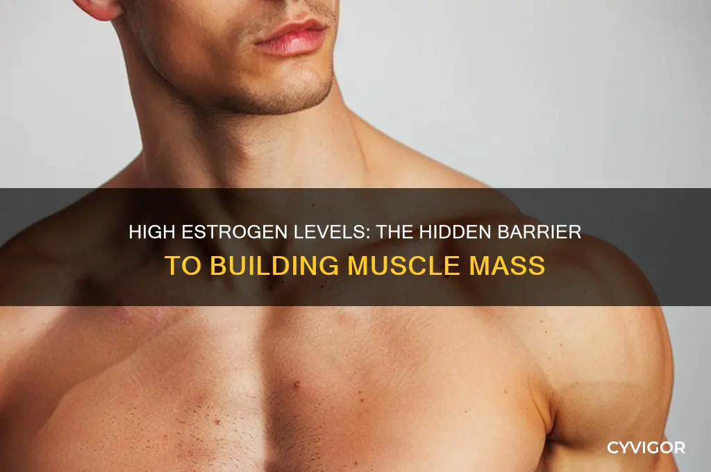 High Estrogen Levels: The Hidden Barrier To Building Muscle Mass | CyVigor