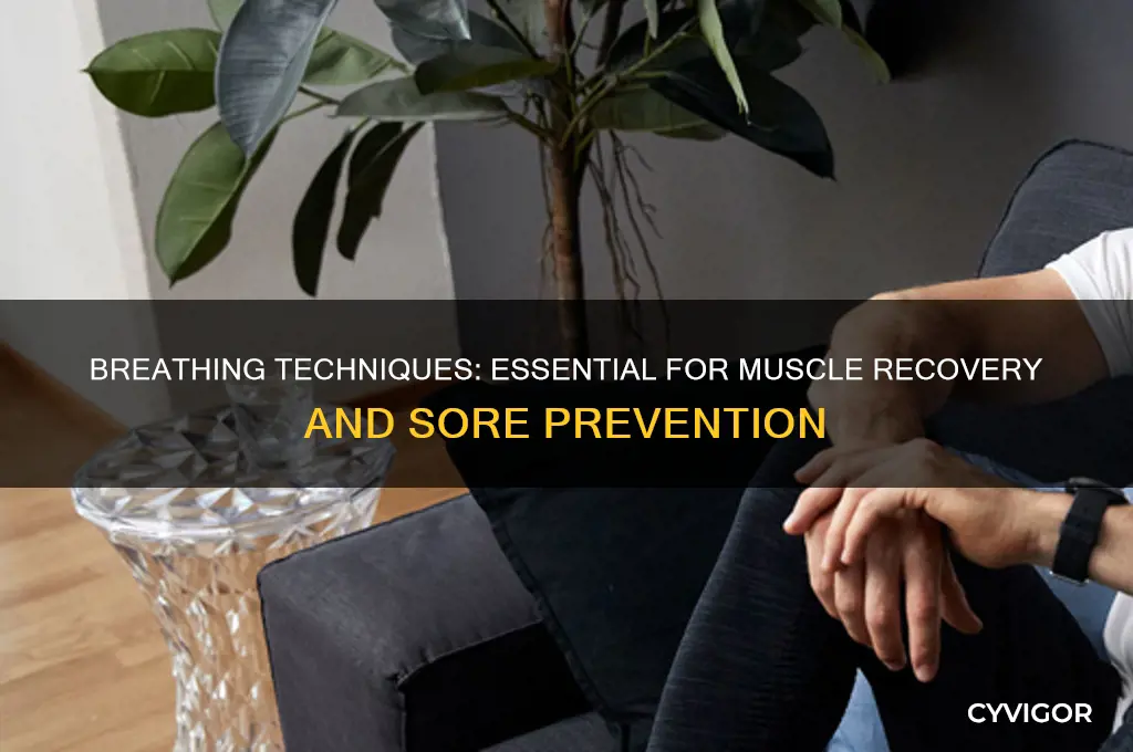 Breathing Techniques: Essential For Muscle Recovery And Sore Prevention ...