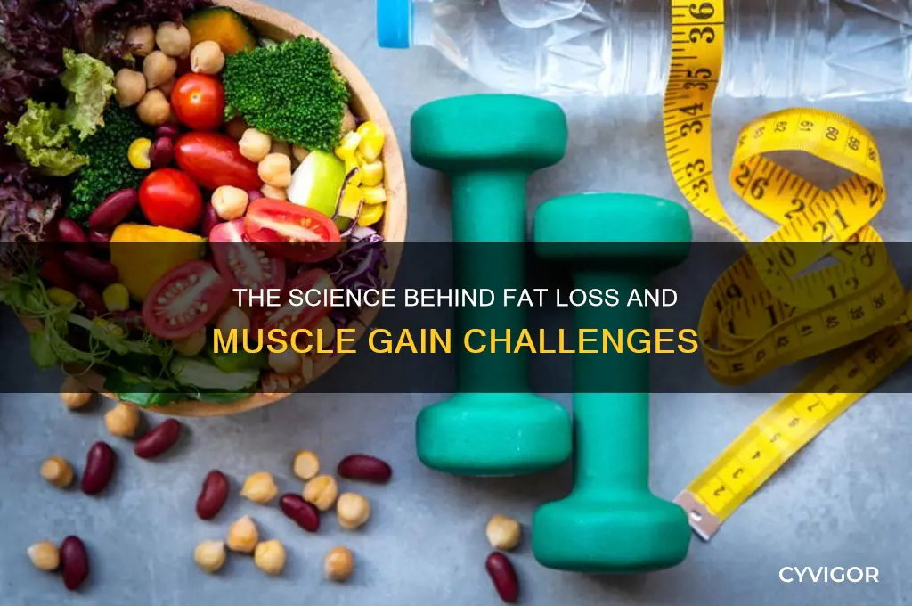 The Science Behind Fat Loss And Muscle Gain Challenges | CyVigor