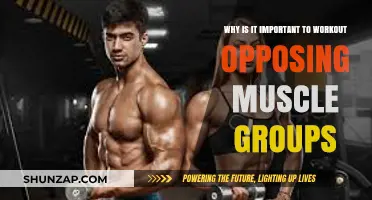 Essential Muscles For Breathing: Diaphragm And Intercostals Explained ...