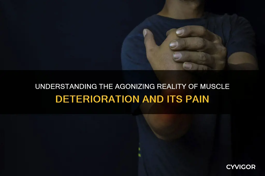 Understanding The Agonizing Reality Of Muscle Deterioration And Its ...