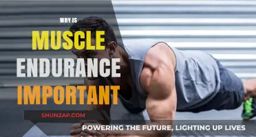 Building Muscle Strength: Why It's Important | CyVigor