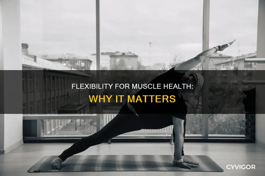 Flexibility For Muscle Health: Why It Matters | CyVigor