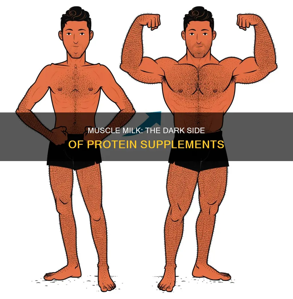 Muscle Milk: The Dark Side Of Protein Supplements | CyVigor