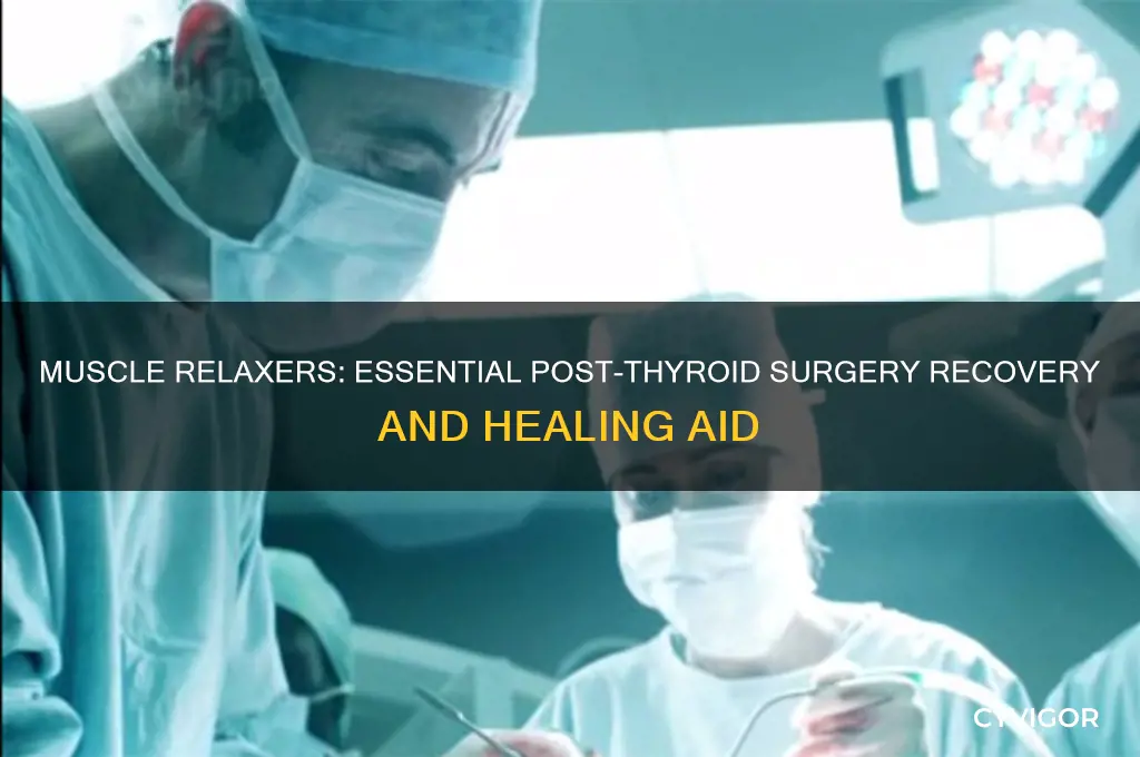 Muscle Relaxers: Essential Post-Thyroid Surgery Recovery And Healing ...