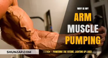 Understanding Arm Muscle Lumps: Causes, Concerns, And When To Seek Help ...