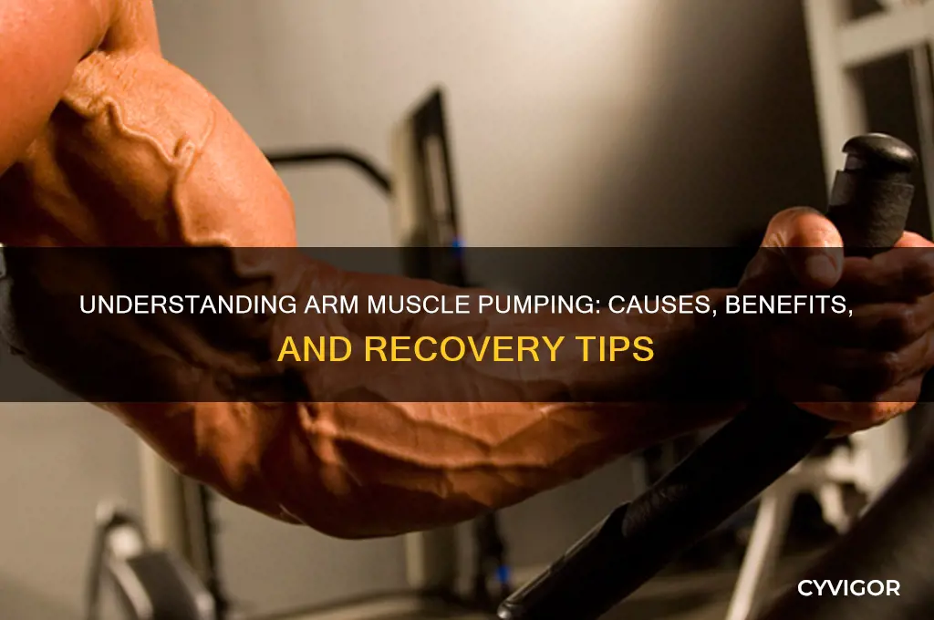 Understanding Arm Muscle Pumping: Causes, Benefits, And Recovery Tips ...