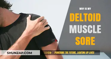 Why Your Soleus Muscle Hurts After Running: Causes And Relief | CyVigor
