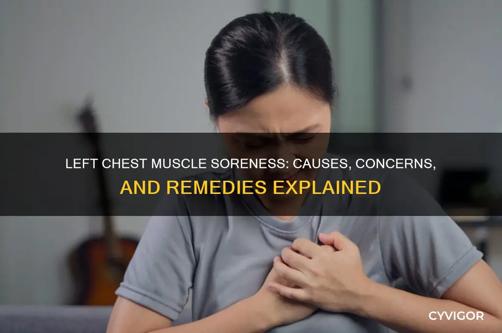 Left Chest Muscle Soreness: Causes, Concerns, And Remedies Explained ...
