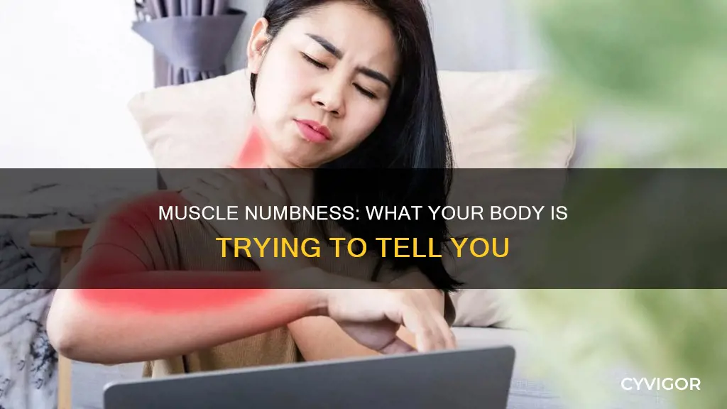 Muscle Numbness: What Your Body Is Trying To Tell You | CyVigor