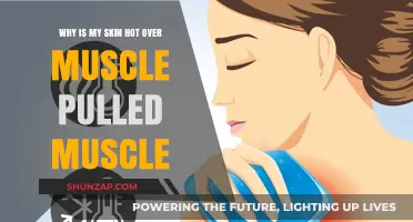 Can A Ct Scan Detect A Pulled Muscle? The Truth Revealed | CyVigor