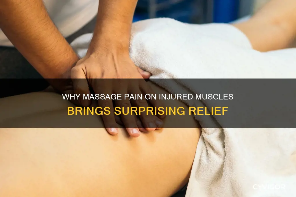 Why Massage Pain On Injured Muscles Brings Surprising Relief | CyVigor