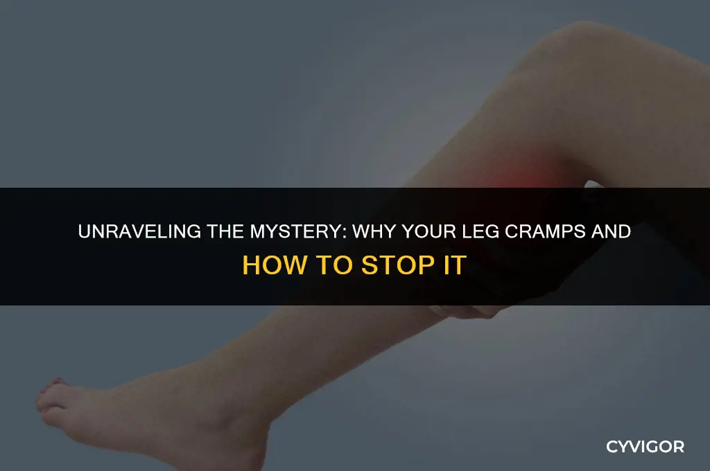 Unraveling The Mystery: Why Your Leg Cramps And How To Stop It | CyVigor
