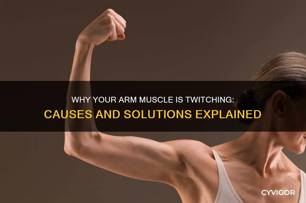Why Your Arm Muscle Is Twitching: Causes And Solutions Explained | CyVigor