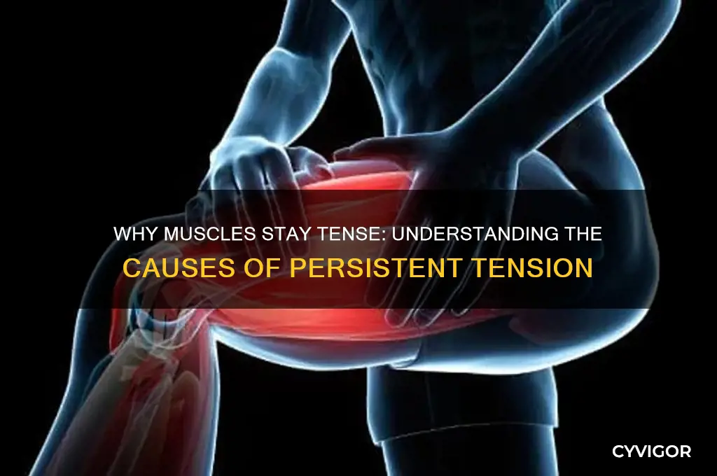Why Muscles Stay Tense: Understanding The Causes Of Persistent Tension ...